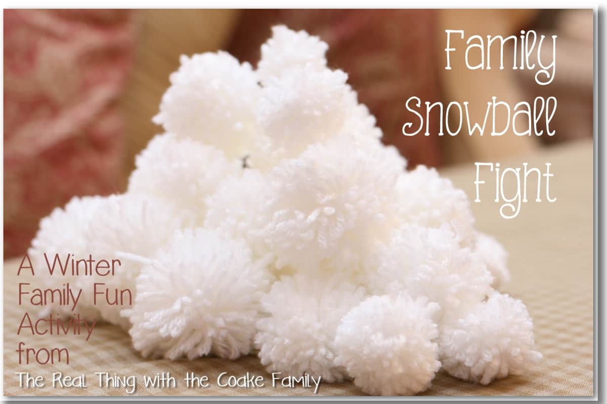 Activities for the Family ~ Snowball Fight