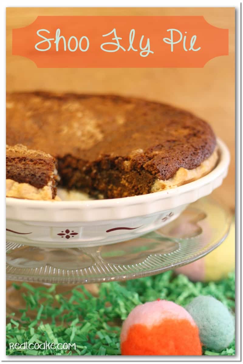 Shoo Fly Pie - Real Creative Real Organized